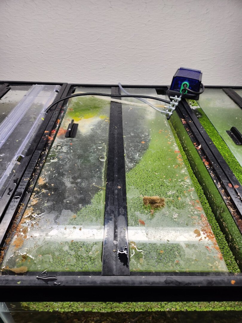 Top Fin (Petsmart) Glass Lid PSA - General Chat - Aquarium Co-Op Forum