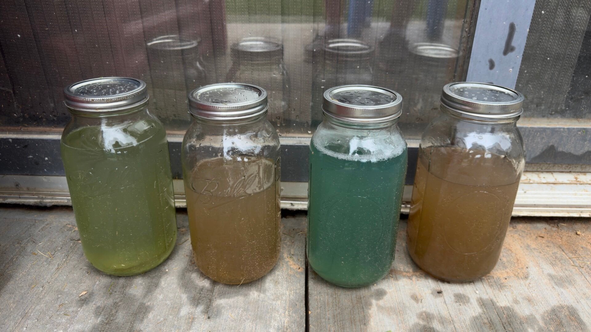 Green water - how to make it - Photos, Videos & Journals - Aquarium Co ...