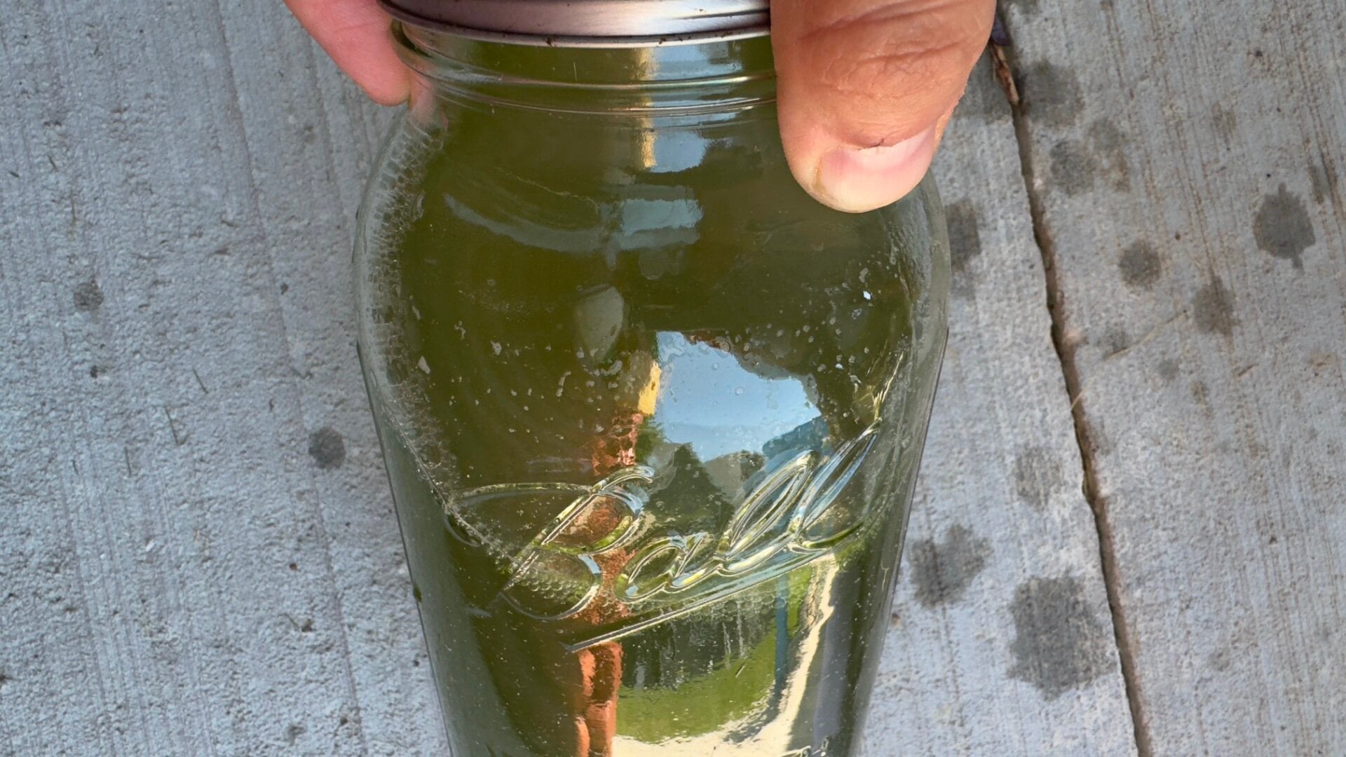Green water - how to make it - Photos, Videos & Journals - Aquarium Co ...