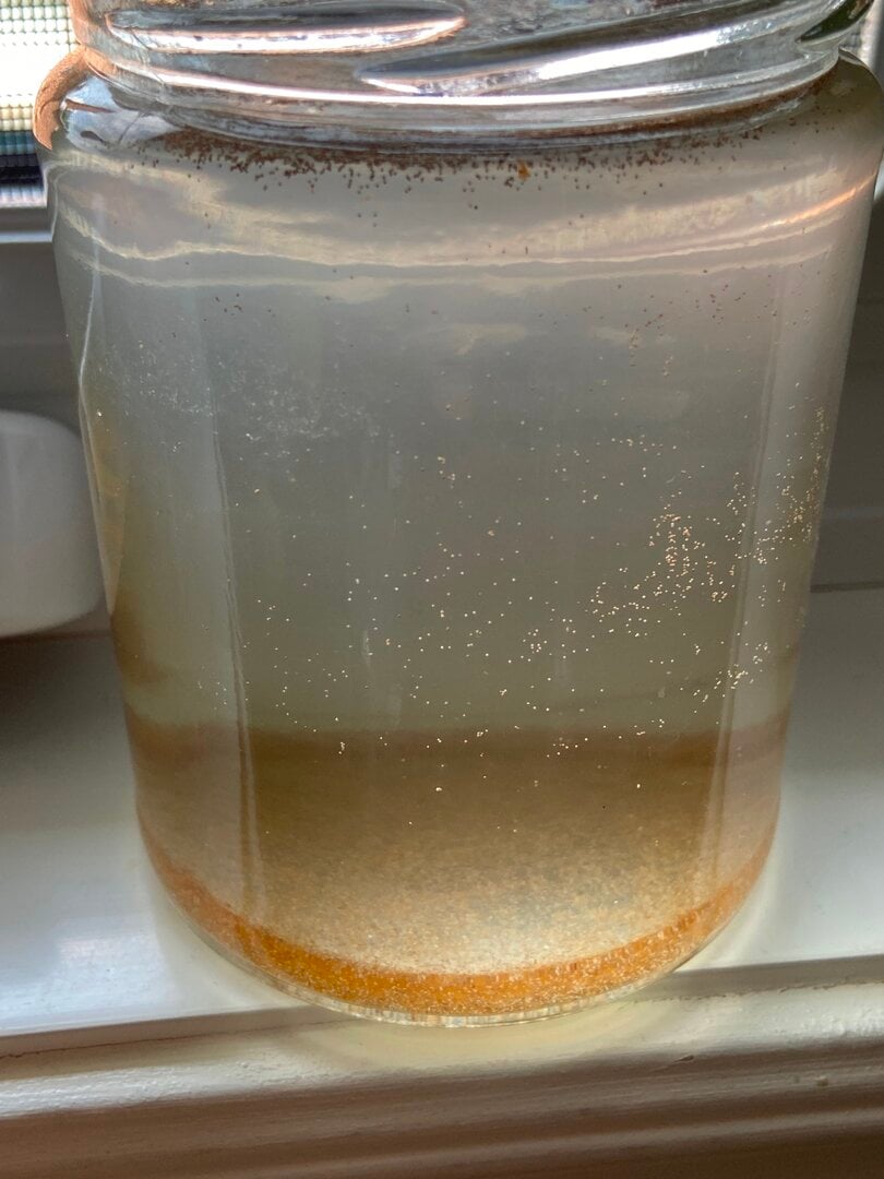 How to grow brine shrimp to adults? - Off Topic General - Aquarium Co ...