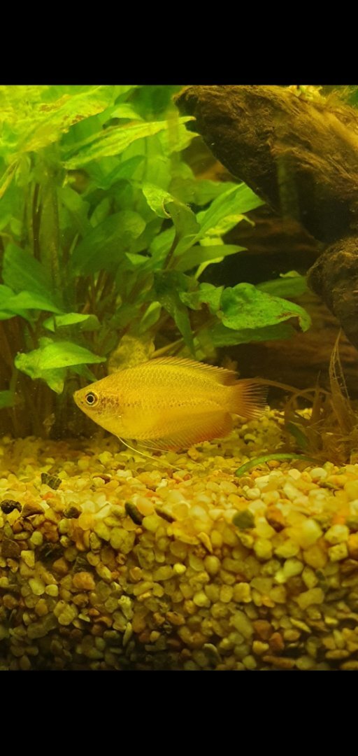 Helen Price - Aquarium Co-Op Forum