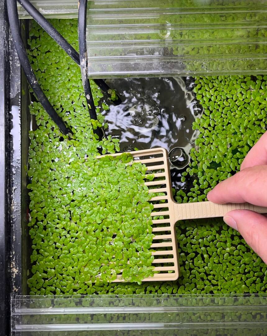 3D printing for fish tanks journal - Page 2 - Aquarium DIY & 3D ...