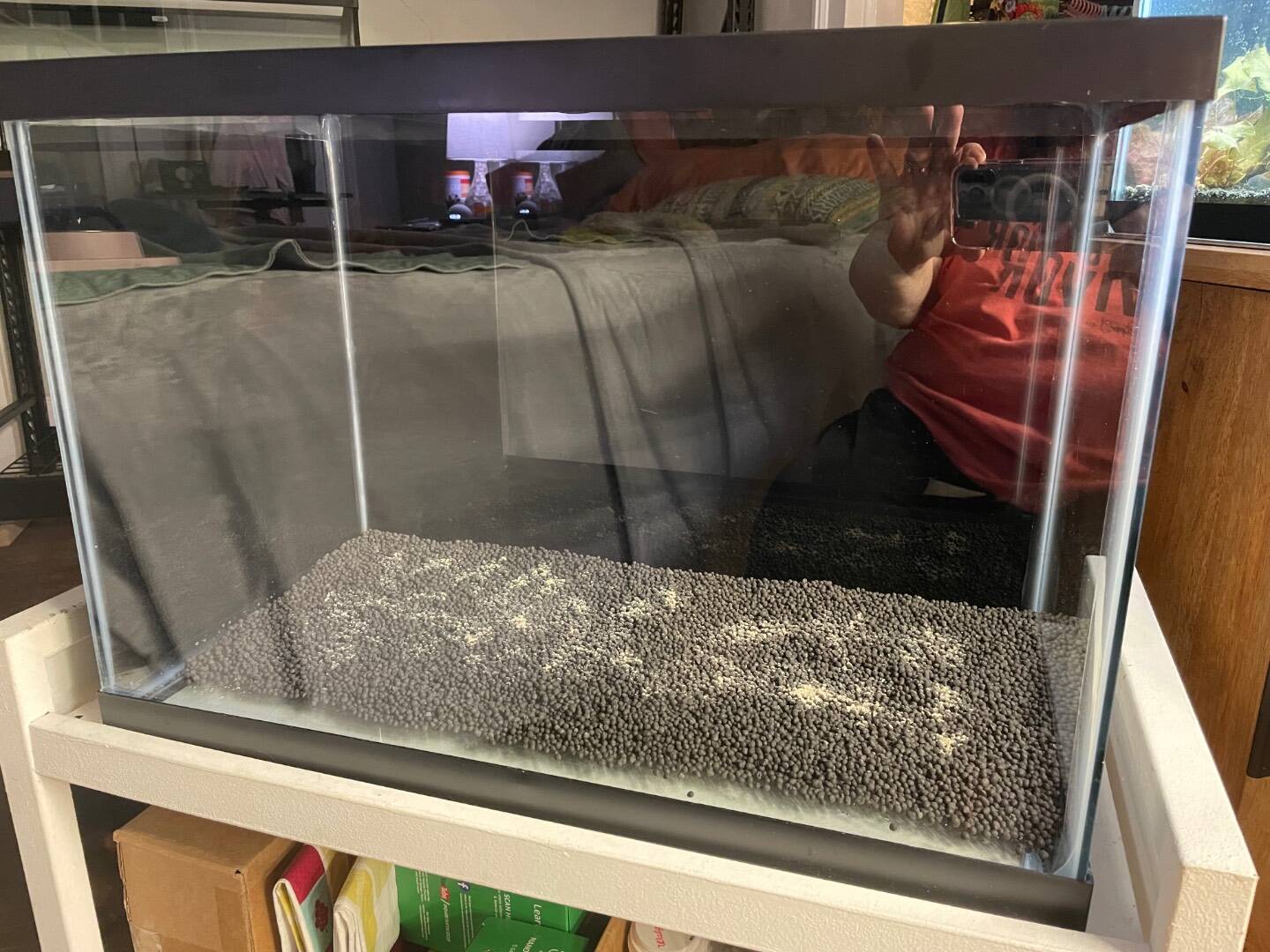 20g Vallesneria Tank - Photos, Videos & Journals - Aquarium Co-Op Forum