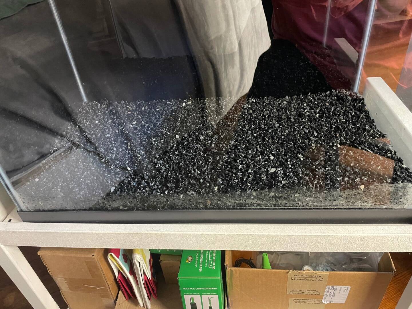 20g Vallesneria Tank - Photos, Videos & Journals - Aquarium Co-Op Forum