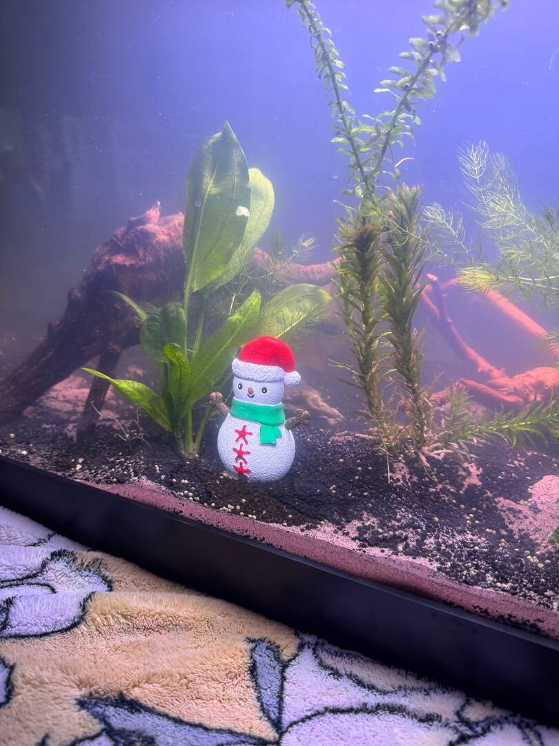 Favorite Types of Substrate? - General Chat - Aquarium Co-Op Forum