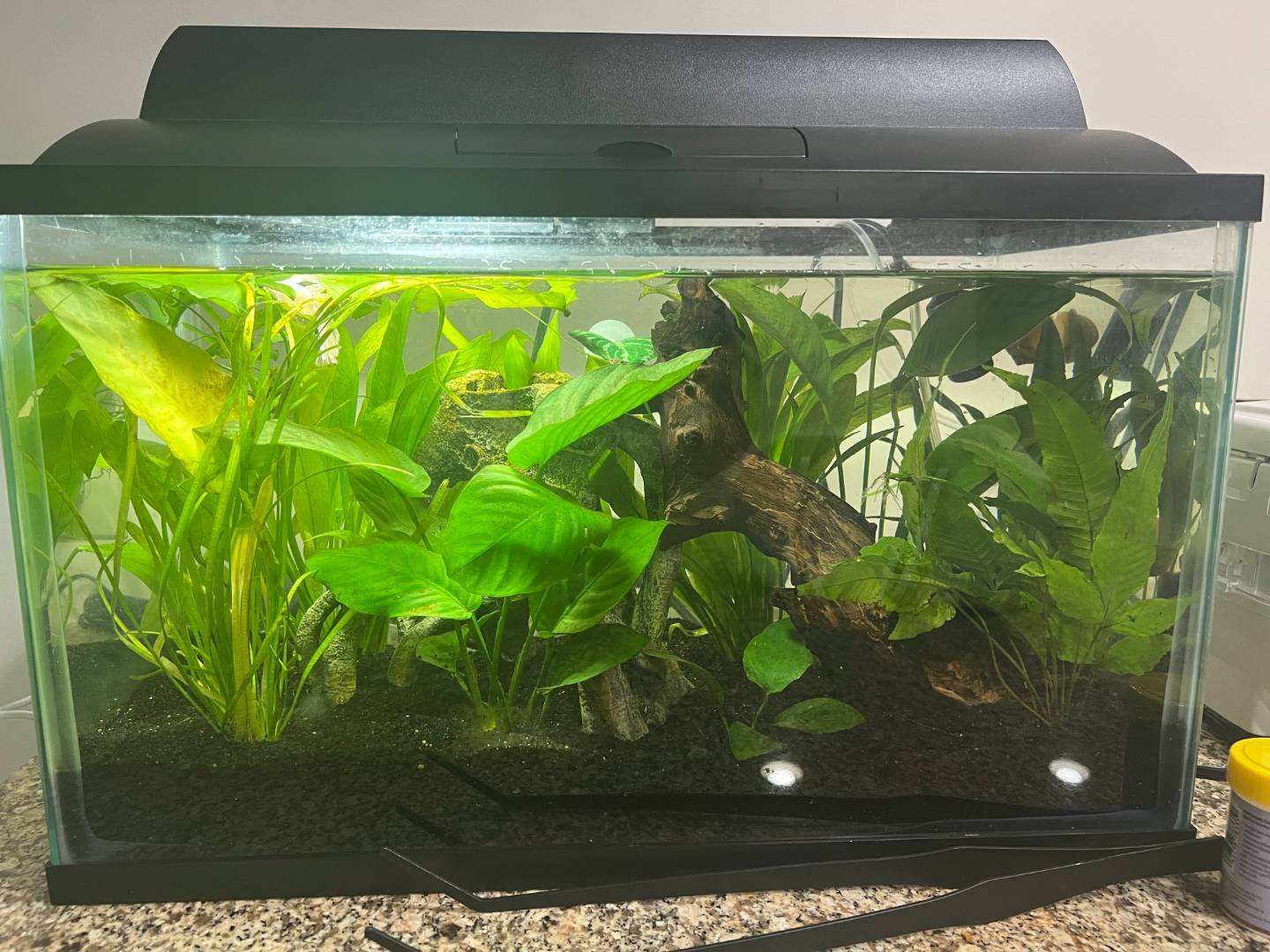 Tank improvement ideas and Detritus Worms? - General Chat - Aquarium Co ...