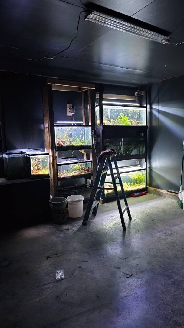 Fish Garage Build. - Photos, Videos & Journals - Aquarium Co-Op Forum