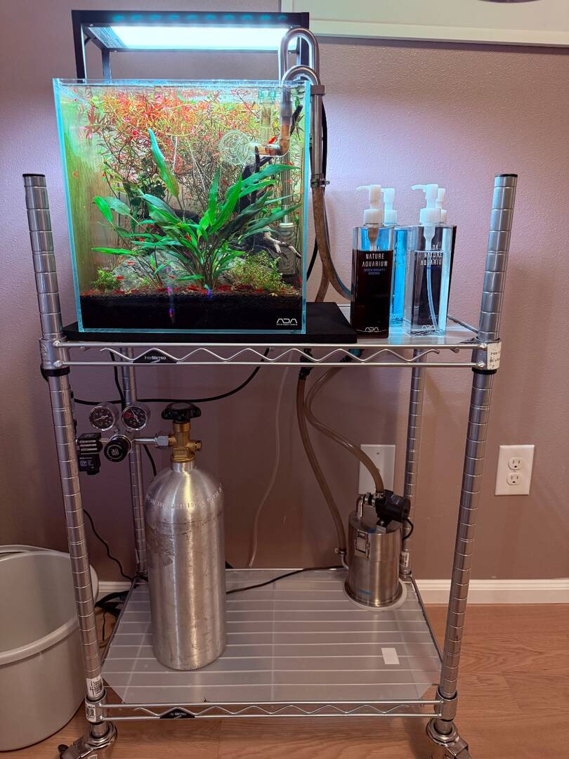 Photo Journal of 30C nano tank - Photos, Videos & Journals - Aquarium ...