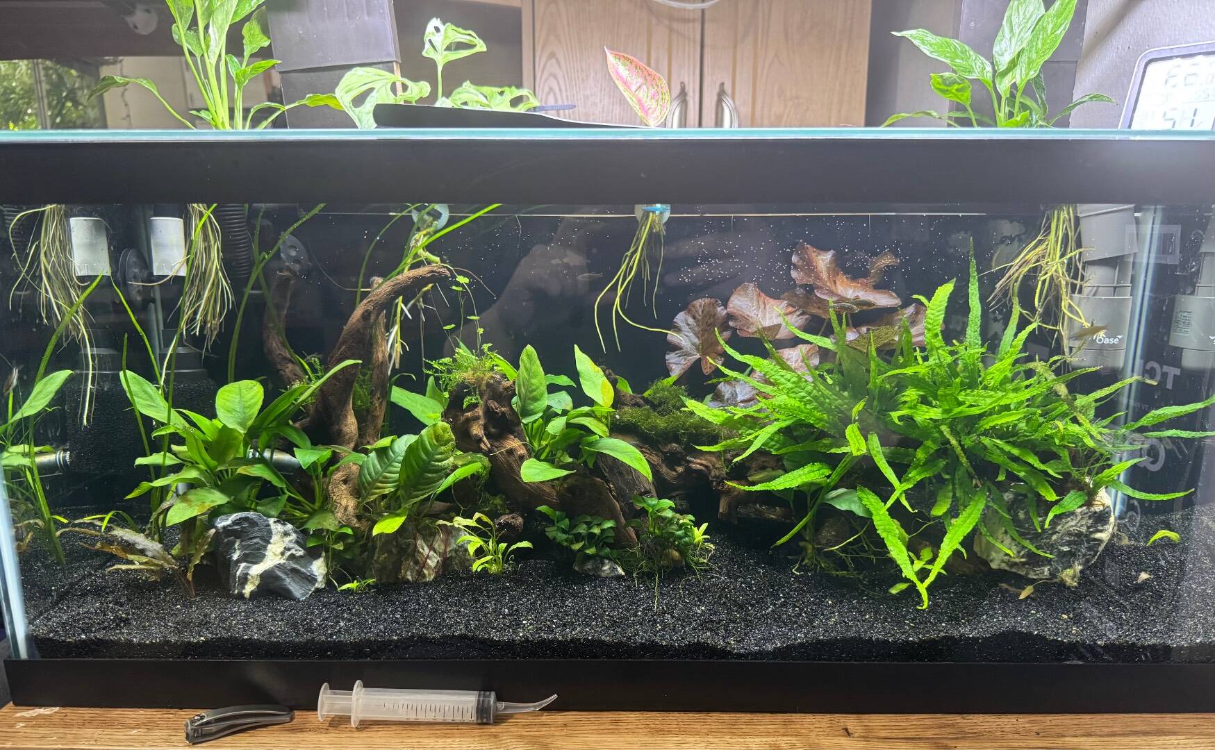 Just another fert question - General Chat - Aquarium Co-Op Forum