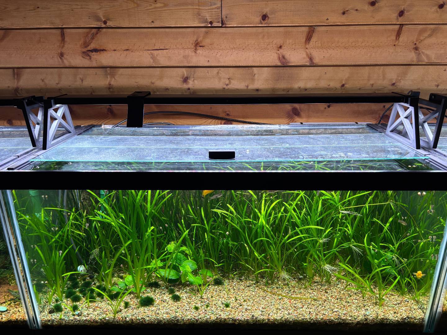 3D Print Sliding Rails for Aquariums - Aquarium DIY & 3D Printing ...