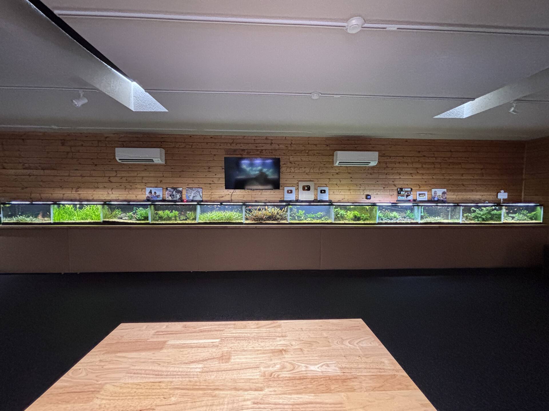 The new fish room and studio build thread. - Page 25 - Photos, Videos ...