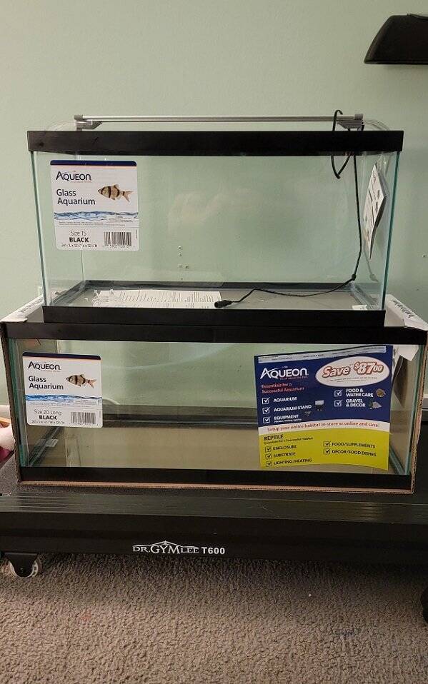 Forums - Aquarium Co-Op Forum