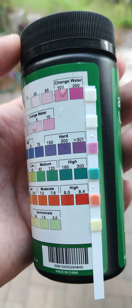 Cory with a skin condition - Diseases - Aquarium Co-Op Forum