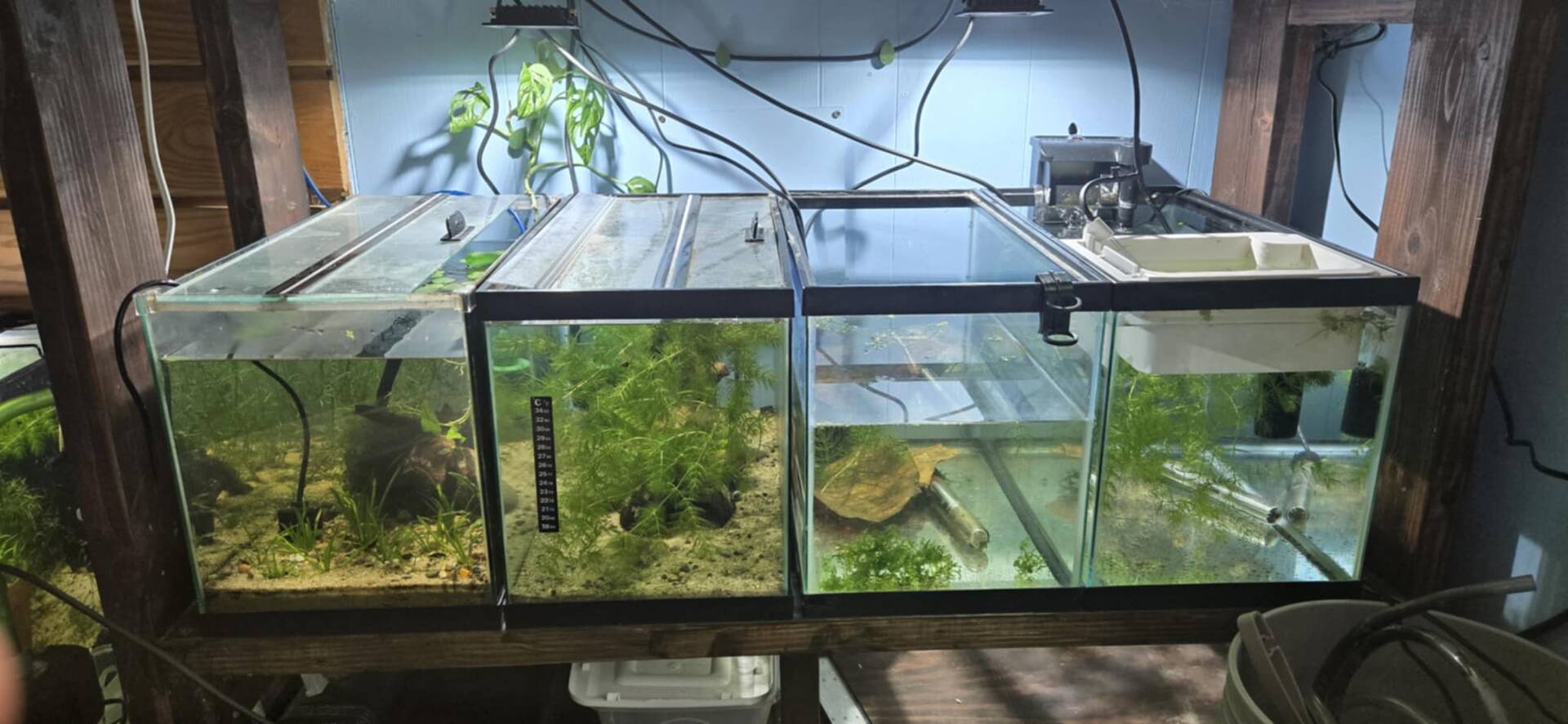 Rimless Sliding Lid - General Chat - Aquarium Co-Op Forum
