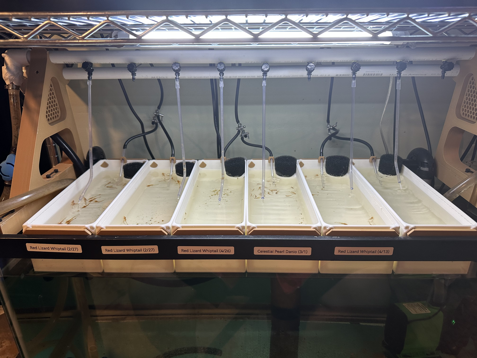 DIY and 3d Printing Dean's Fry Rack with Upgrades from the community ...