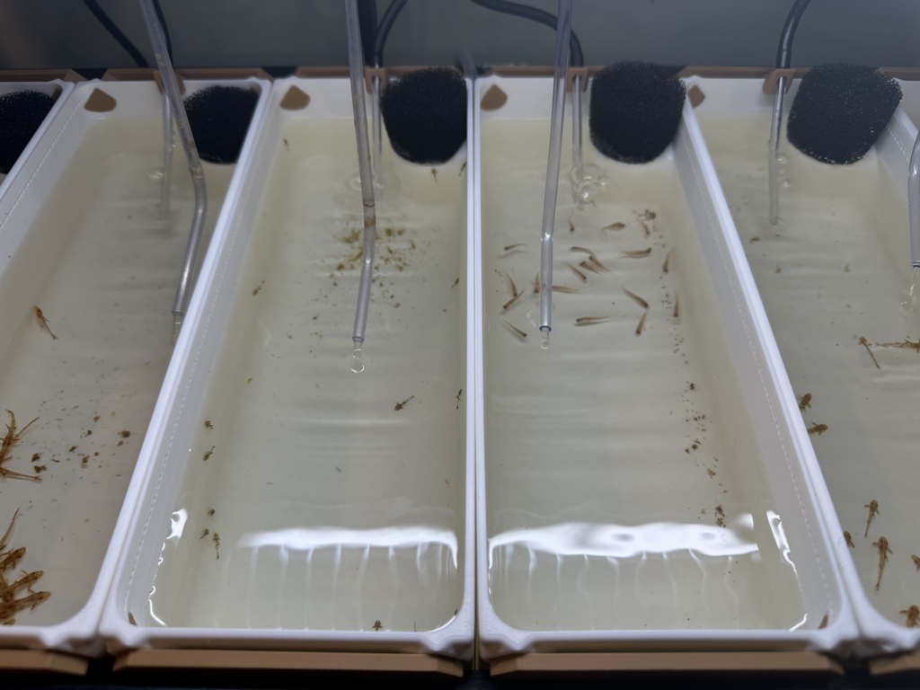 DIY and 3d Printing Dean's Fry Rack with Upgrades from the community ...