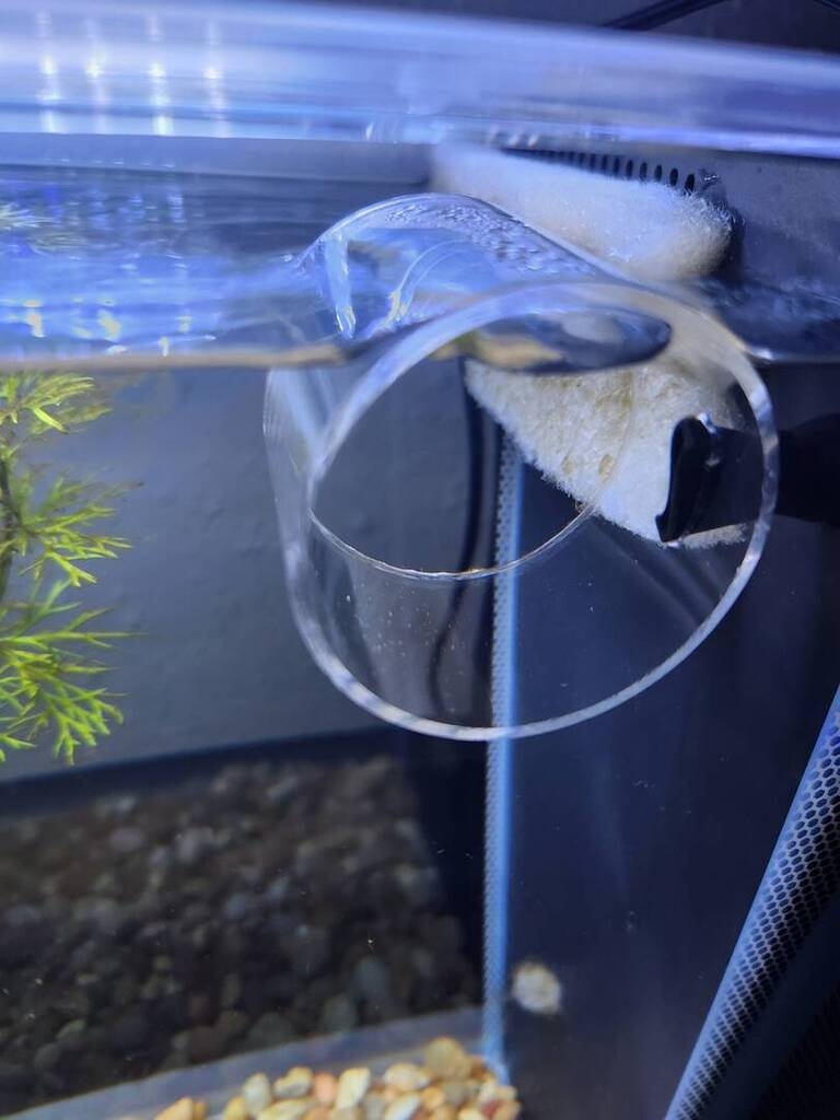 Quick DIY flow reducer for fluval flex tanks (or any tanks with nozzle ...