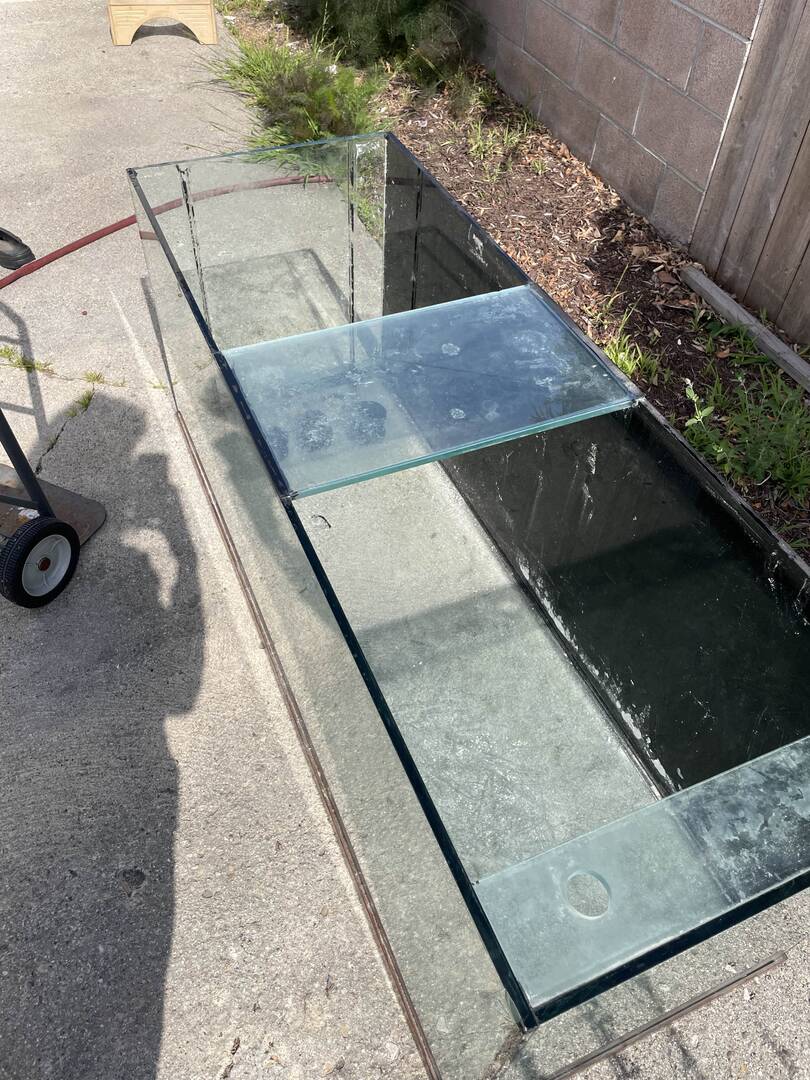 Inherited two massive tanks. Looking to jump into the hobby and need ...