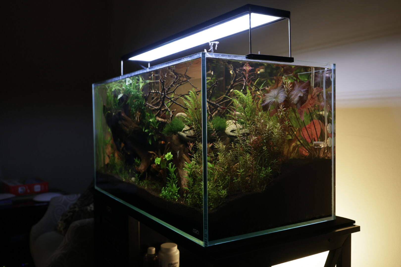 How I cycled my ADA 90P with almost 40L of aquasoil in under 20 days ...