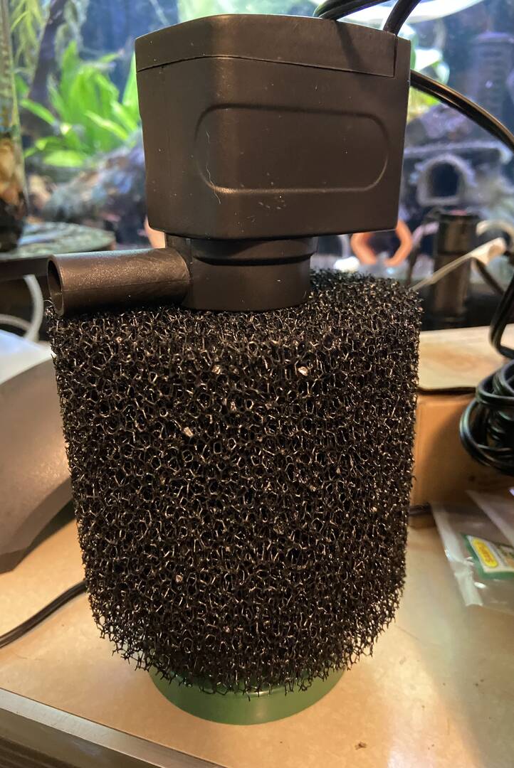 Mudskippers setup help - General Chat - Aquarium Co-Op Forum