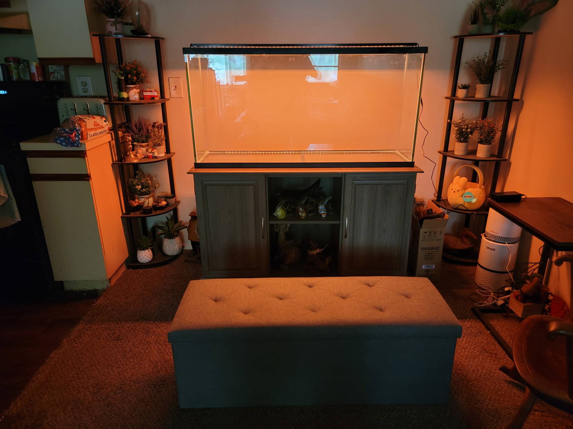 Free 55g tank and equipment - General Chat - Aquarium Co-Op Forum