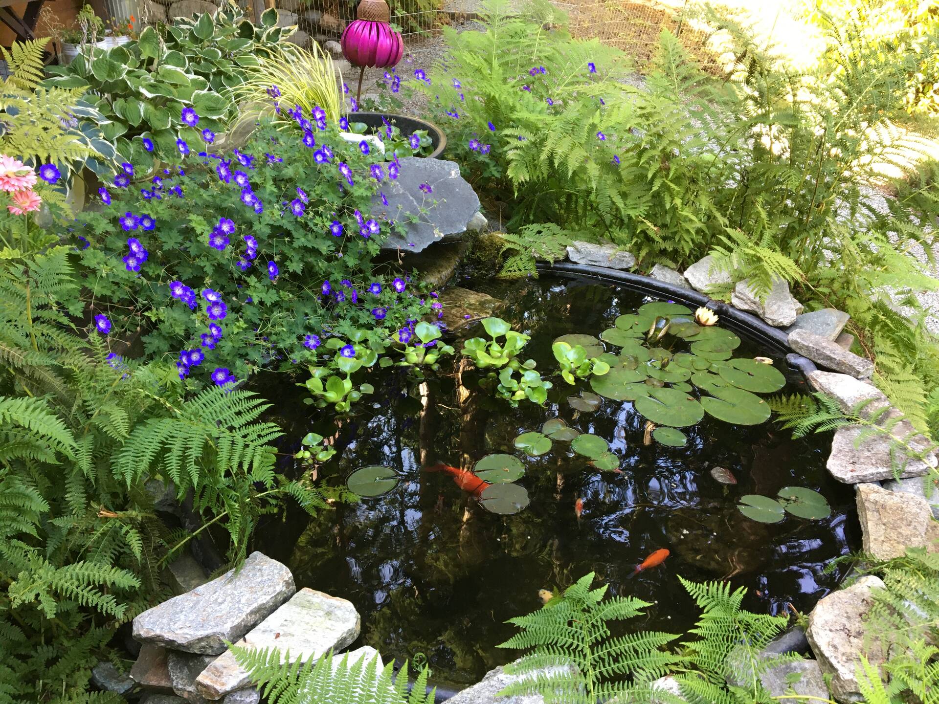 What's your handsdown best method for getting rid of string-algae on a ...