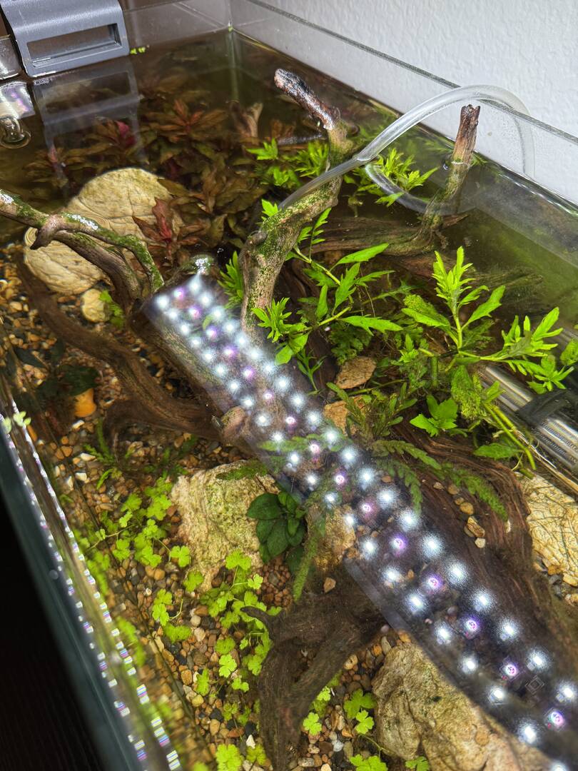 Water polishing - General Chat - Aquarium Co-Op Forum