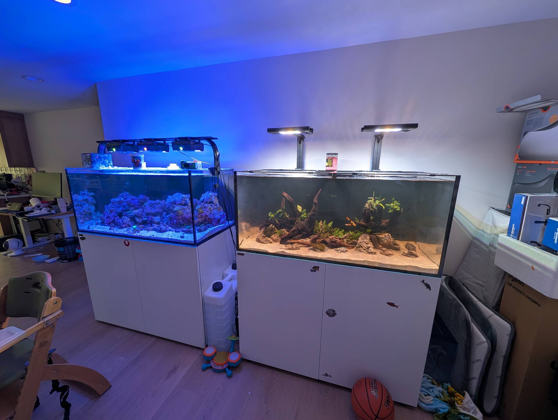 Twin tanks - Photos, Videos & Journals - Aquarium Co-Op Forum