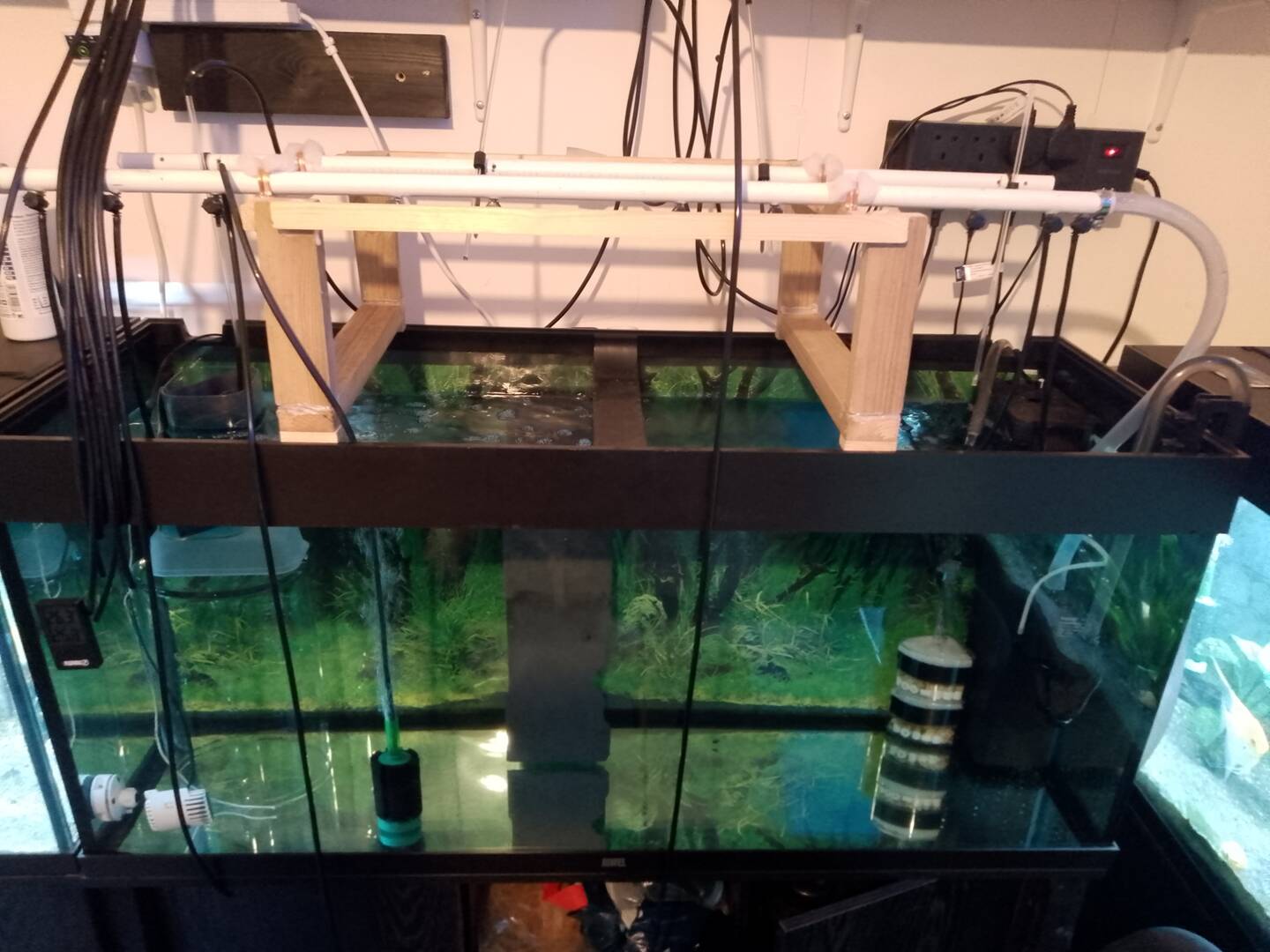 deans fry system ( water ? ) - Fish Breeding - Aquarium Co-Op Forum