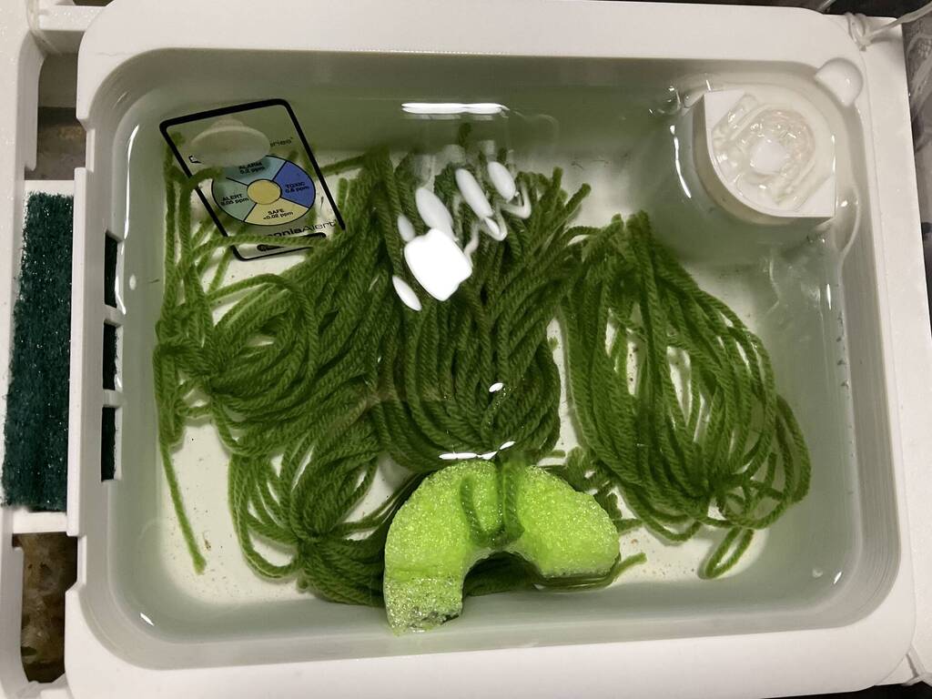 Lowell’s fry tray - Fish Breeding - Aquarium Co-Op Forum