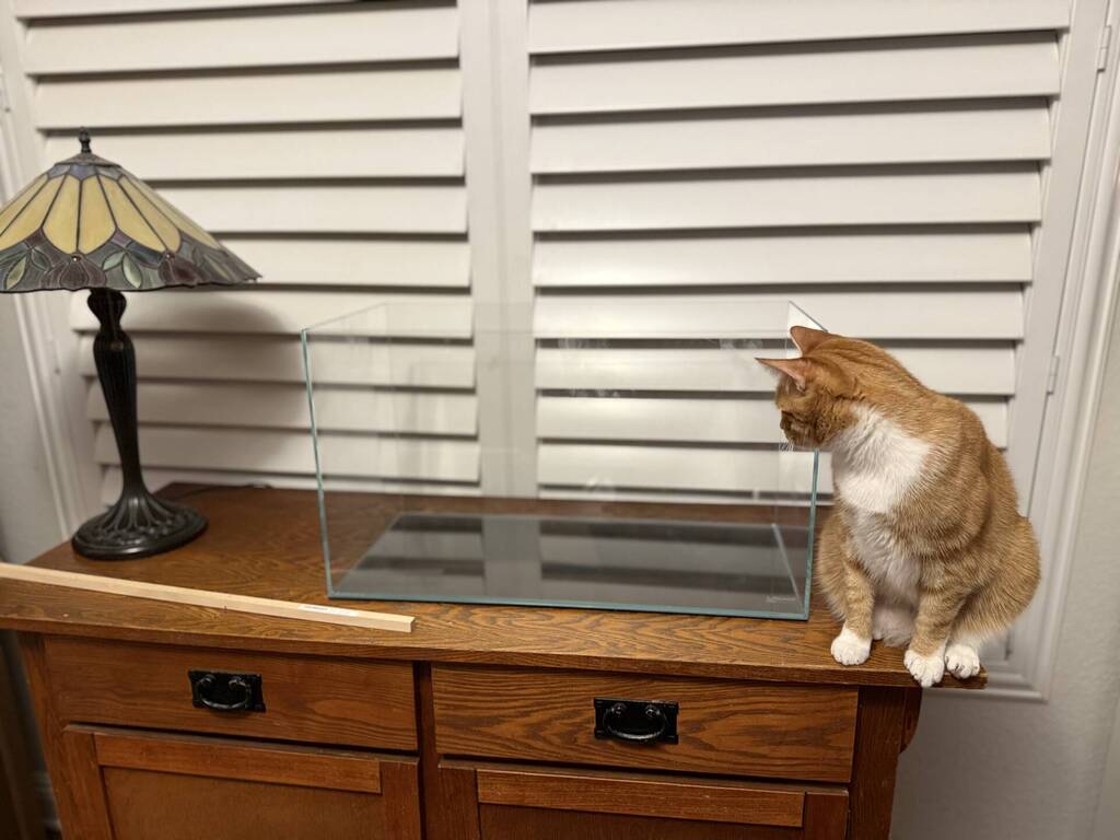 Looking for stocking ideas for 15g regular. - General Chat - Aquarium ...