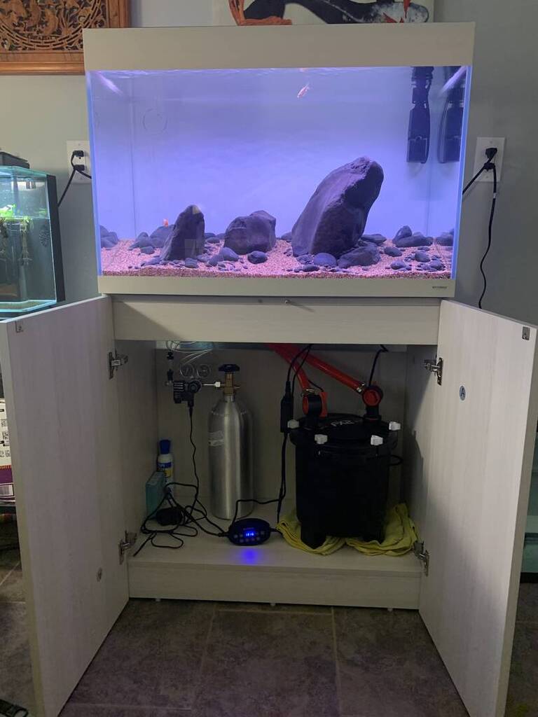 Waterbox Eden 40 Planted Tank CO2 - Photos, Videos & Journals ...