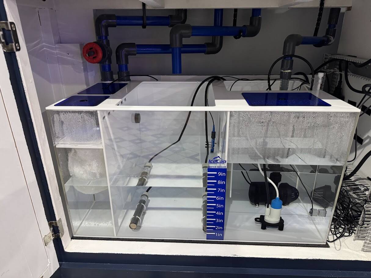 Rhino's 60 Breeder Reef Tank Conversion - Photos, Videos & Journals ...