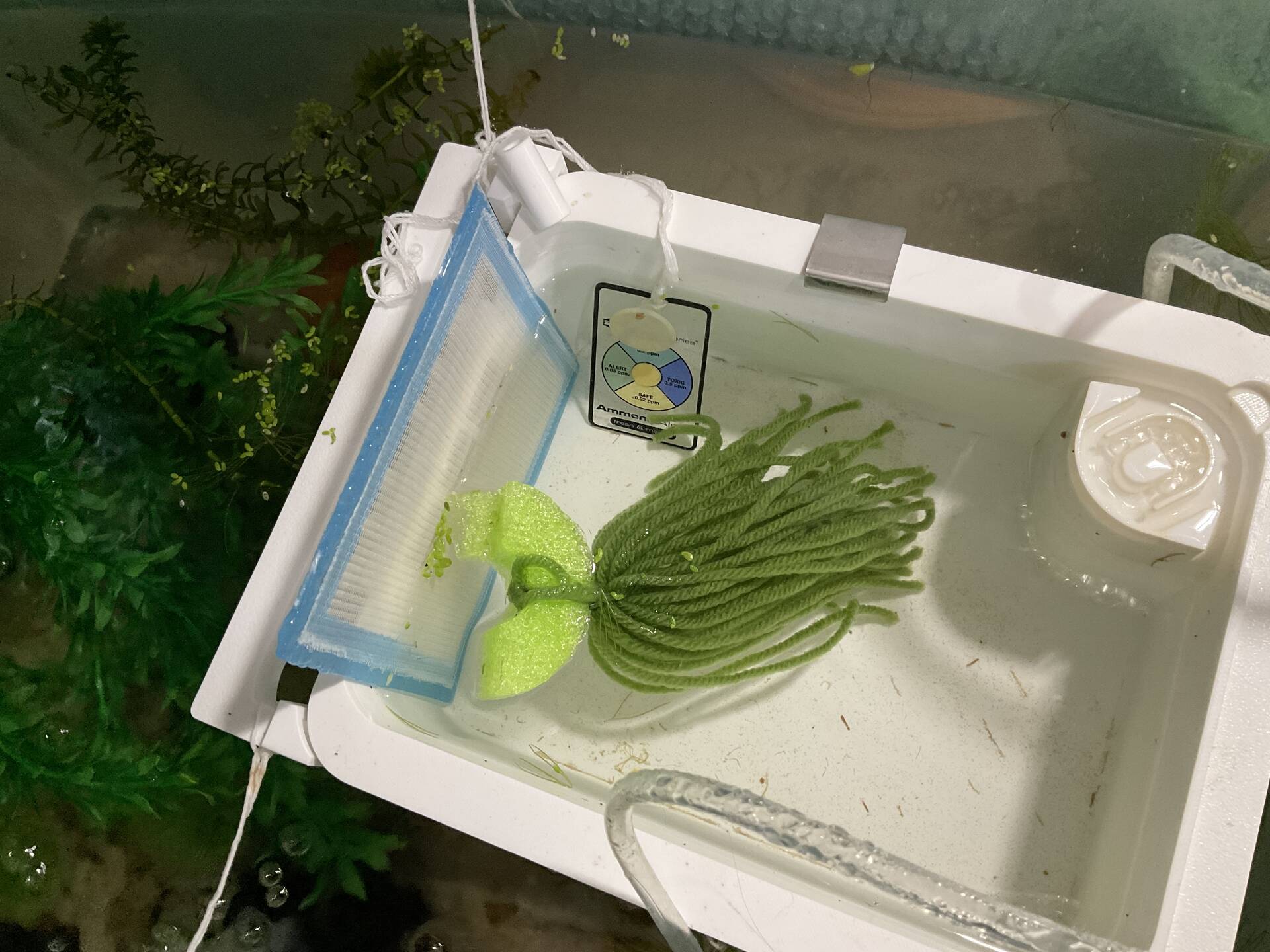 Lowell’s fry tray - Page 3 - Fish Breeding - Aquarium Co-Op Forum