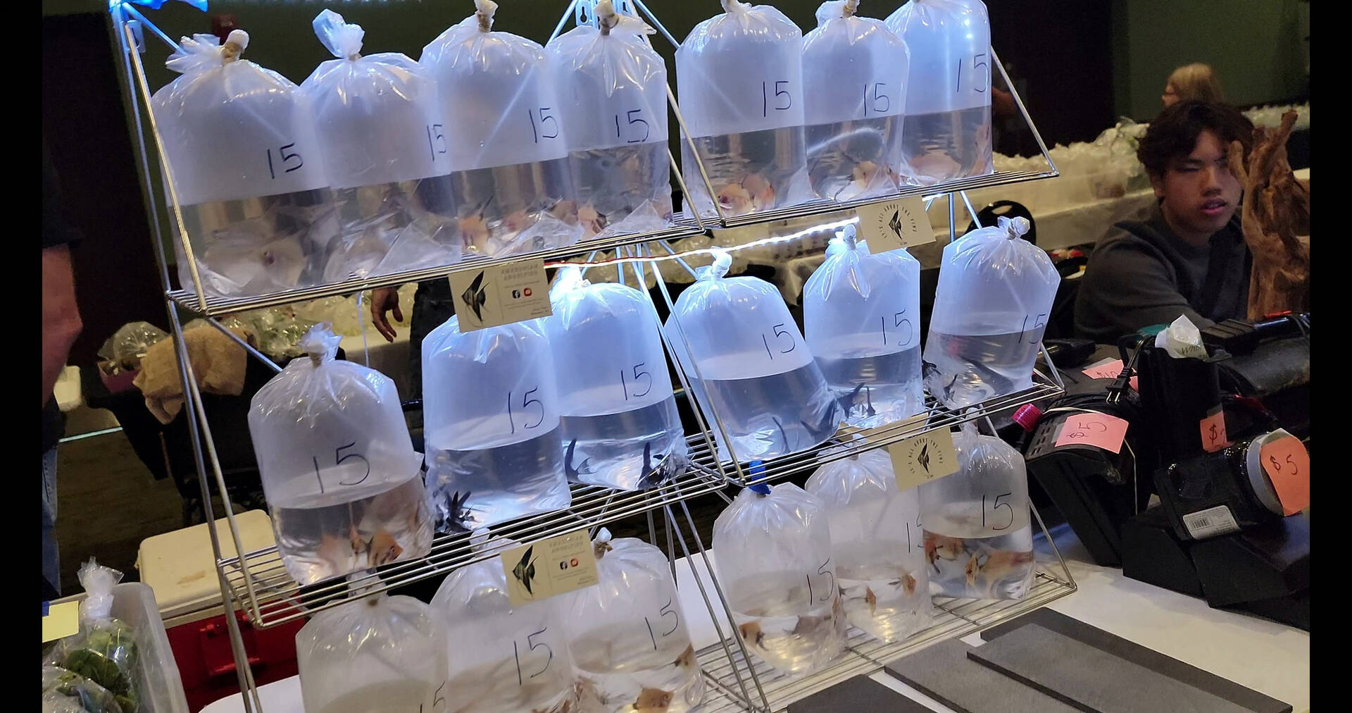 Photos, Videos & Journals - Aquarium Co-Op Forum