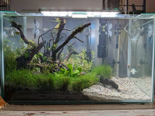 Landscape edging to separate substrates? - General Chat - Aquarium Co ...