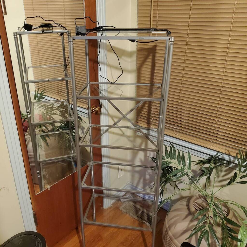 My Largest Tank Yet! (60g breeder build) - Photos, Videos & Journals ...