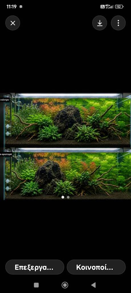 Layout advice for a new 120L low-tech tank: Center vs Left rock ...