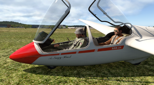 ASK21 B21 - NHAdrian upgrade - General Aviation - Threshold