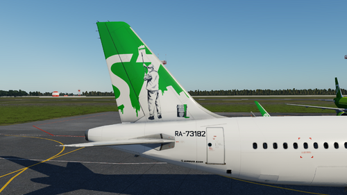 Airbus A320 I S7 Airlines I RA-73182 "Street Art Museum" livery - Other ...