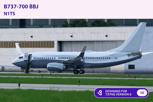 N1TS - Boeing BBJ - LevelUp B737NG V2 - LevelUp - Threshold