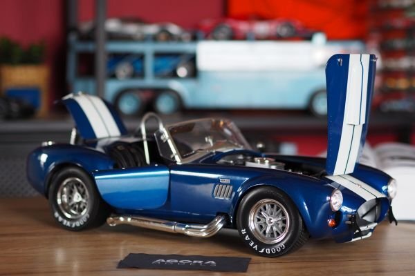 Cobra from France - Members Build Diaries - Agora Models Community