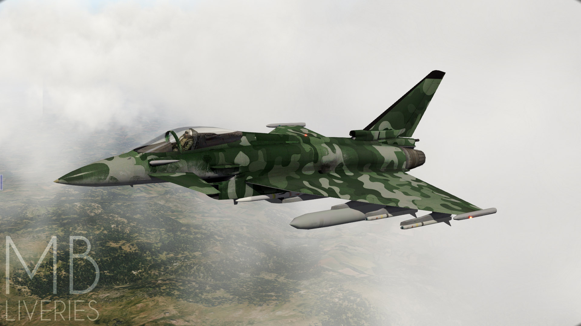 Various Camouflage Colors - Eurofighter Typhoon 2000 - Aircraft Skins ...
