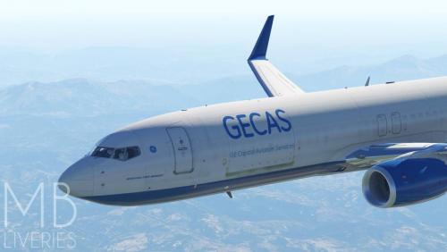 GECAS - Boeing 737-800SF (Default) - XP11 - Aircraft Skins - Liveries ...