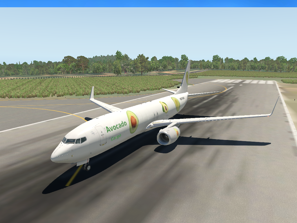Avocado Air Cargo livery - Aircraft Skins - Liveries - X-Plane.Org Forum