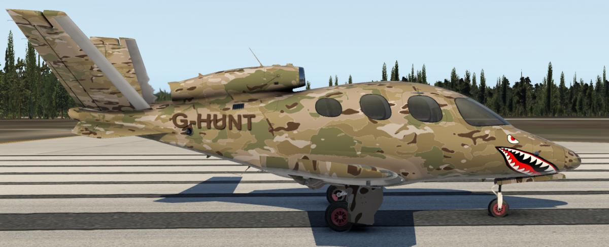 Default Cirrus SF-50 in some 6 fun repaints - Aircraft Skins - Liveries ...
