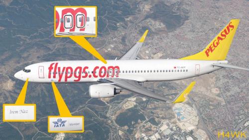 PEGASUS AIRLINES / FLYPGS - Aircraft Skins - Liveries - X-Plane.Org Forum