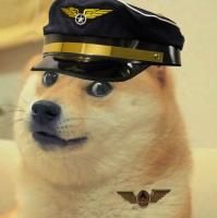 CaninePilot - X-Plane.Org Forum