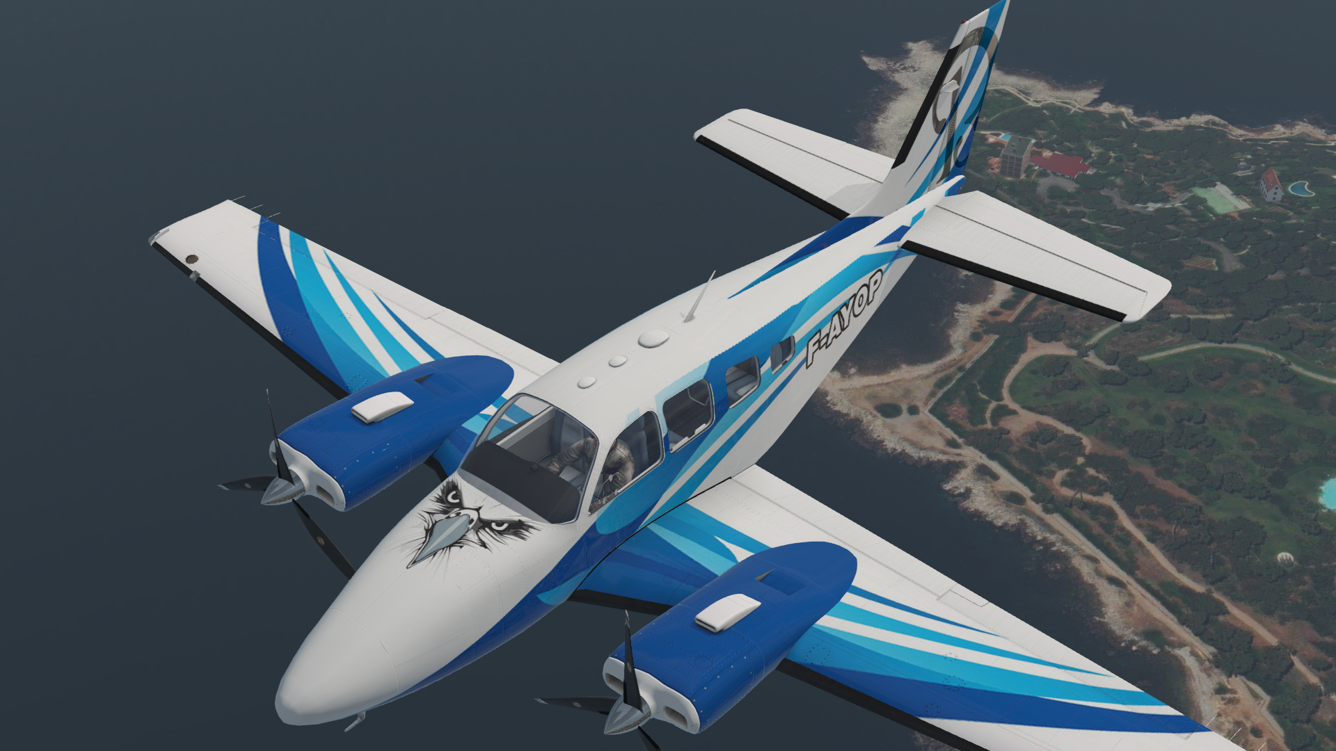 SIOOWAN BARON B58 liverie BLUE EAGLE - Aircraft Skins - Liveries - X ...