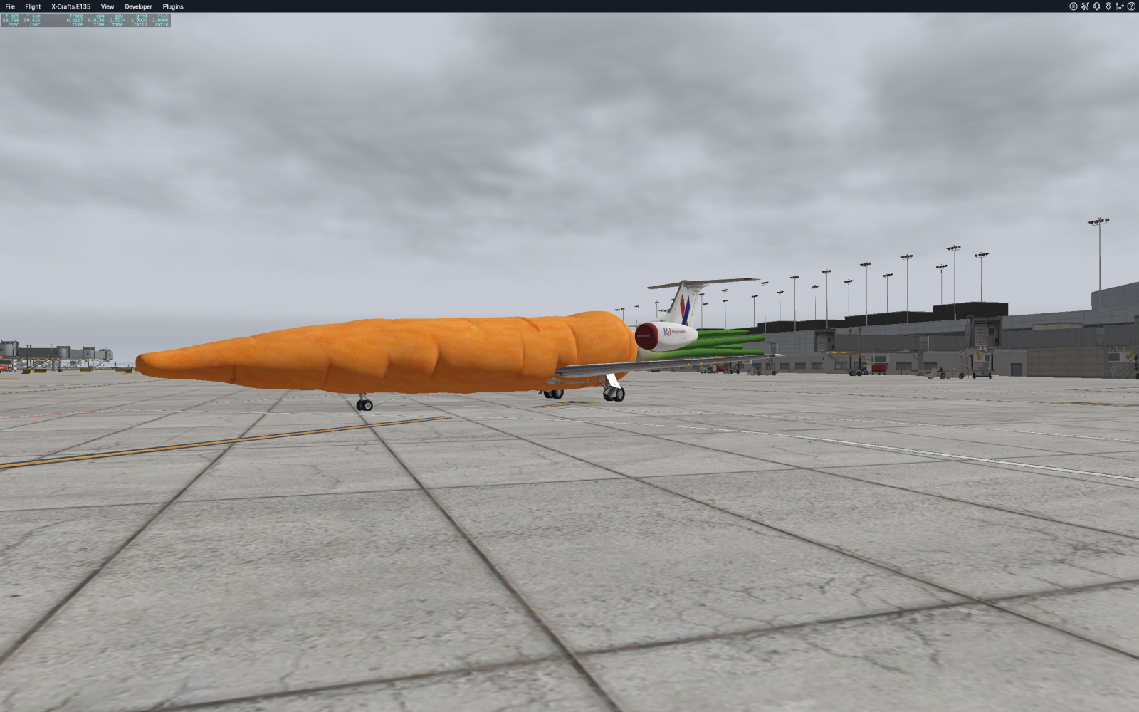 Flying Carrot - ERJ Family 1.0 by X-Crafts (No longer sold) - X-Plane ...